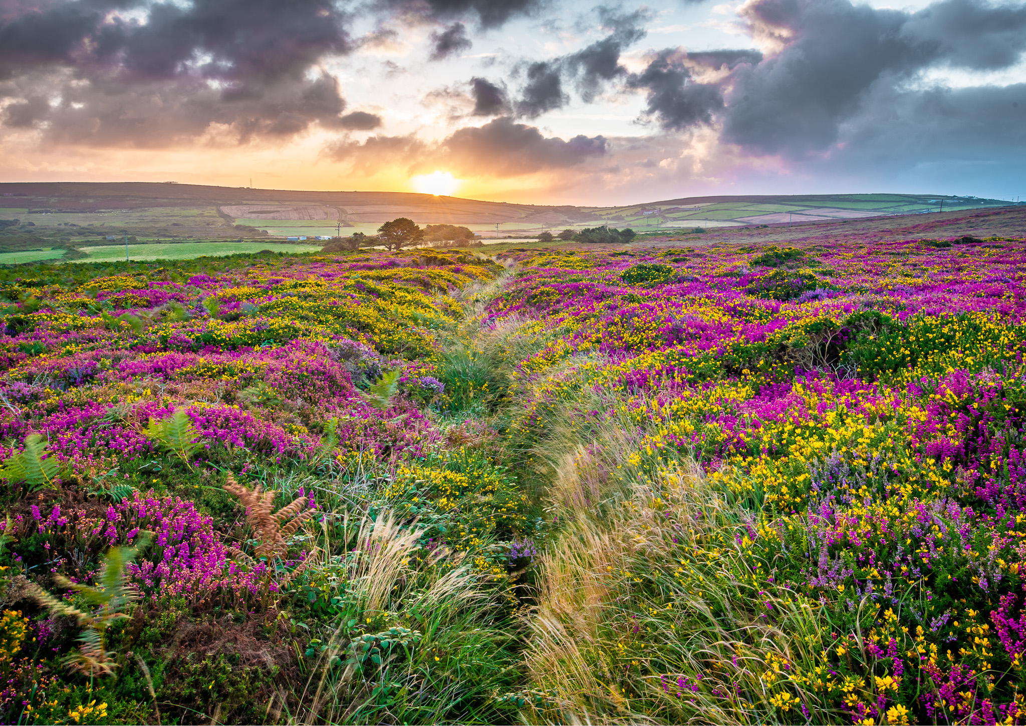 LANDSCAPE AND SEASCAPE – MICHELLE BLAKEN PHOTOGRAPHY